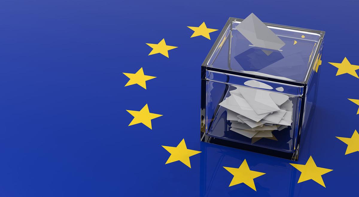 Les élections européennes de 2024 : continuité et changements - Sauvons ...
